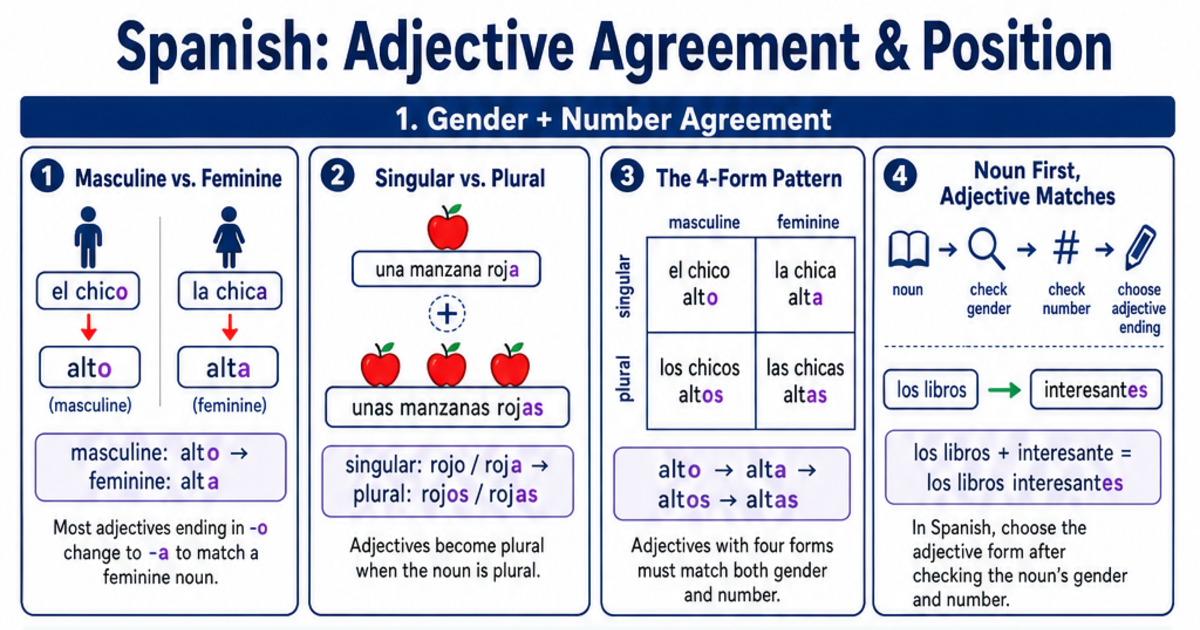 Adjective Agreement & Position Cheat Sheet | LivePhysics™