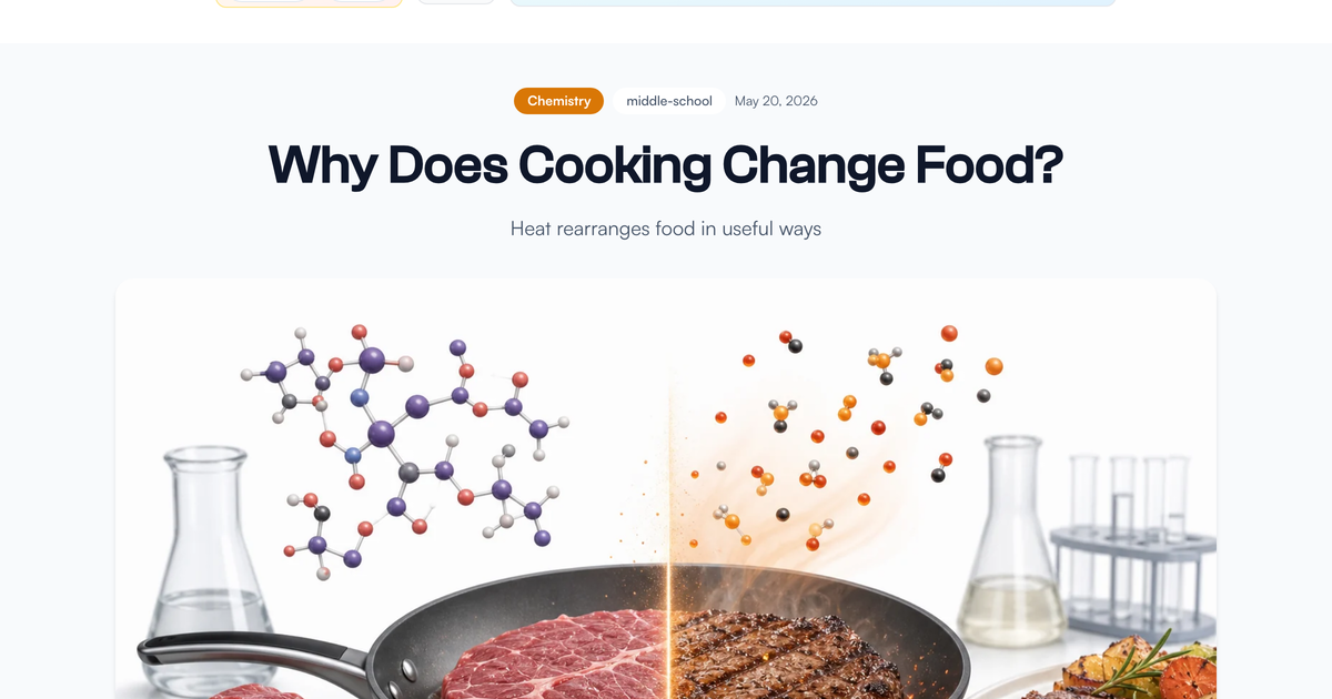 Why Does Cooking Change Food? - LivePhysics